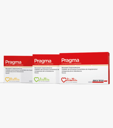 Pragma® | Alcames Laboratorios